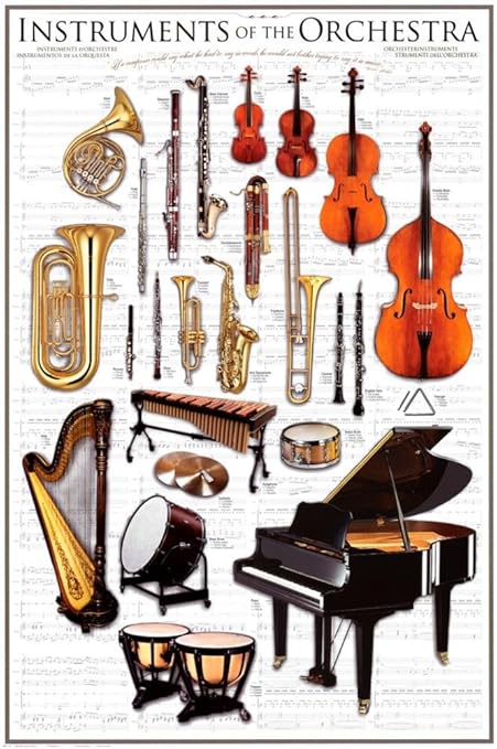 Amazon.com: Instruments Symphony Orchestra Poster 24 x 36in: Prints ...