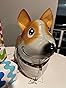 Amazon.com: My Own Pet Balloons Corgi Domestic Animal : Toys & Games
