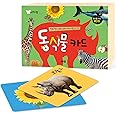 Amazon.com: Leveram Korean Language Flashcards for Beginners : 80 ...