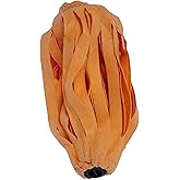 Amazon.com: ShamWow Mop with Removable Mop Head - Dust and Floor Mop ...