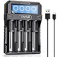 Amazon.com: Dlyfull 18650 Battery Charger 4 Bay, LCD Display Lithium Battery Charger with USB-C ...