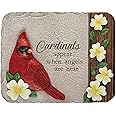 Amazon.com: Carson 12717 Cardinal Appears When Angels are Near ...
