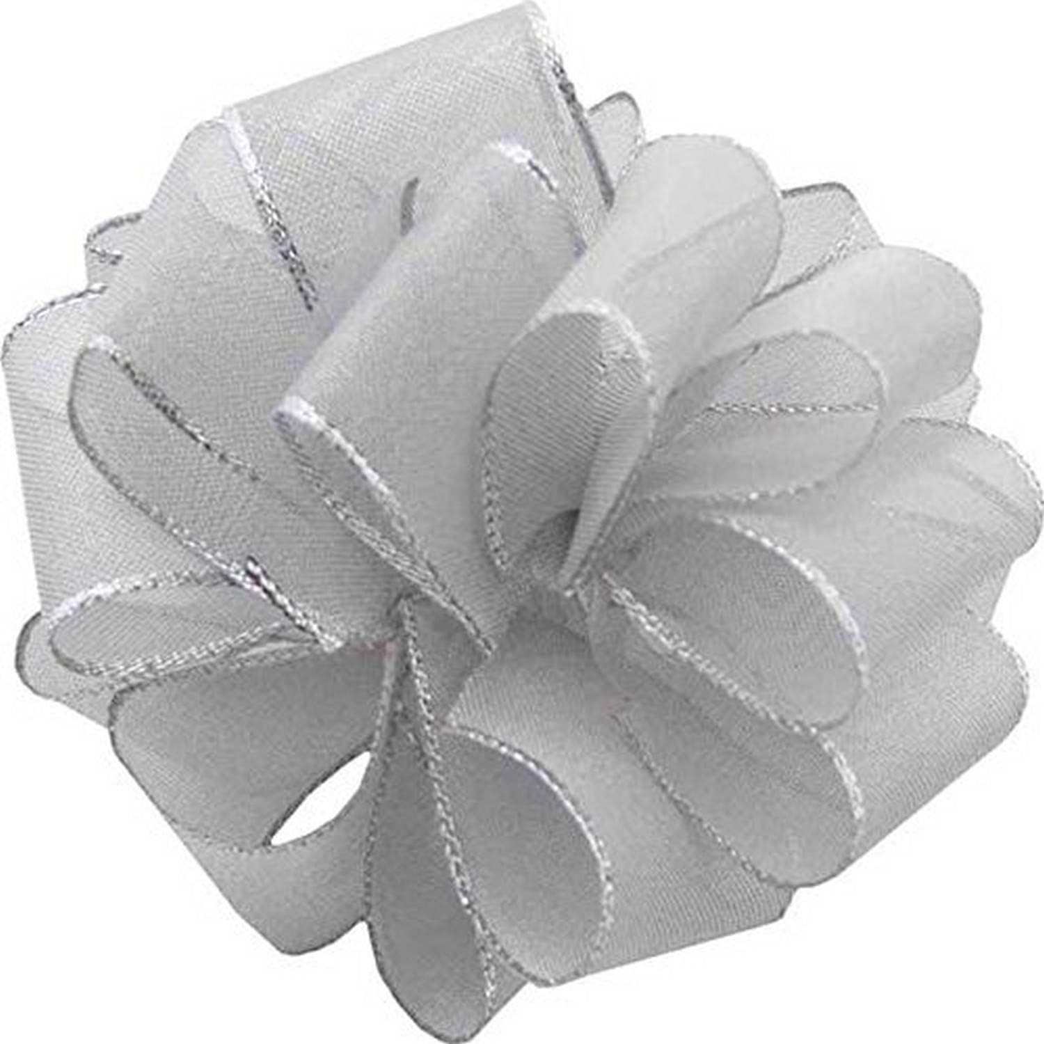 Amazon.com: Berwick Offray LLC Lion Spun Metal Wired Edge Ribbon-3/8 X ...