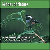 Gibson, Dan - Songbirds at Sunrise - Amazon.com Music