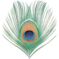 XTC - Apple Venus Vol 1 - Amazon.com Music