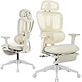 Amazon.com: Ergonomic Mesh Office Chair with Retractable Footrest ...