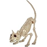 Amazon.com: Crazy Bonez Sitting Skeleton Cat : Home & Kitchen