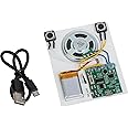Amazon.com: Voice/MP3 Record and Playback Board Kit for STEM and DIY ...