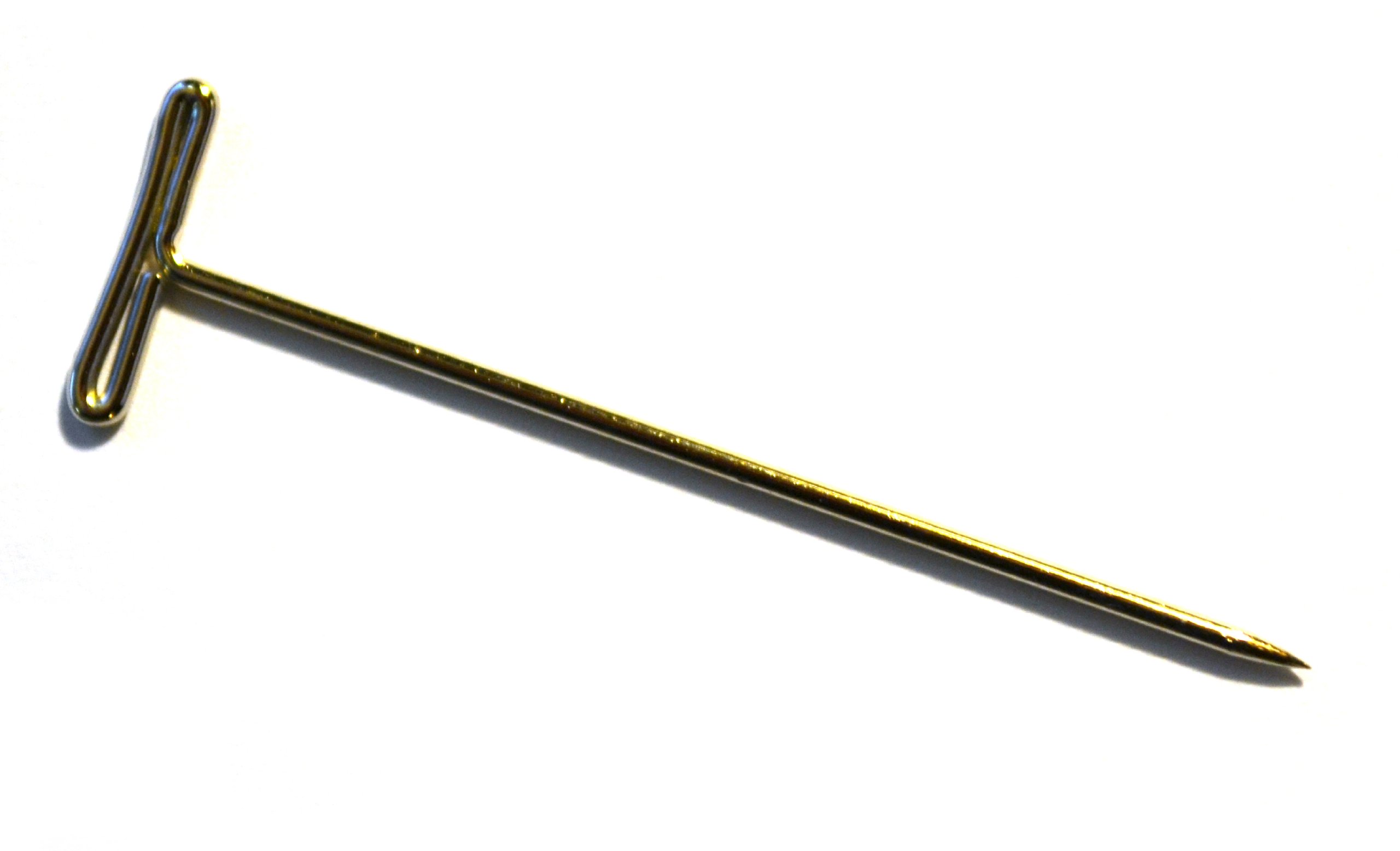 Eisco Labs Nickel Plated Dissection T-Pins - 2" (Pack Of 100) on ...