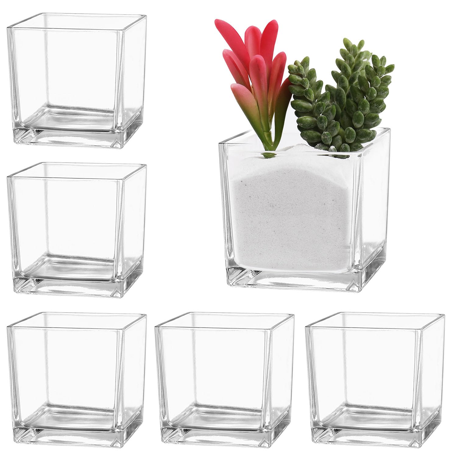 MARTAGE Square Vases Set of 6, Glass Vases for Flowers, Flower Vases ...