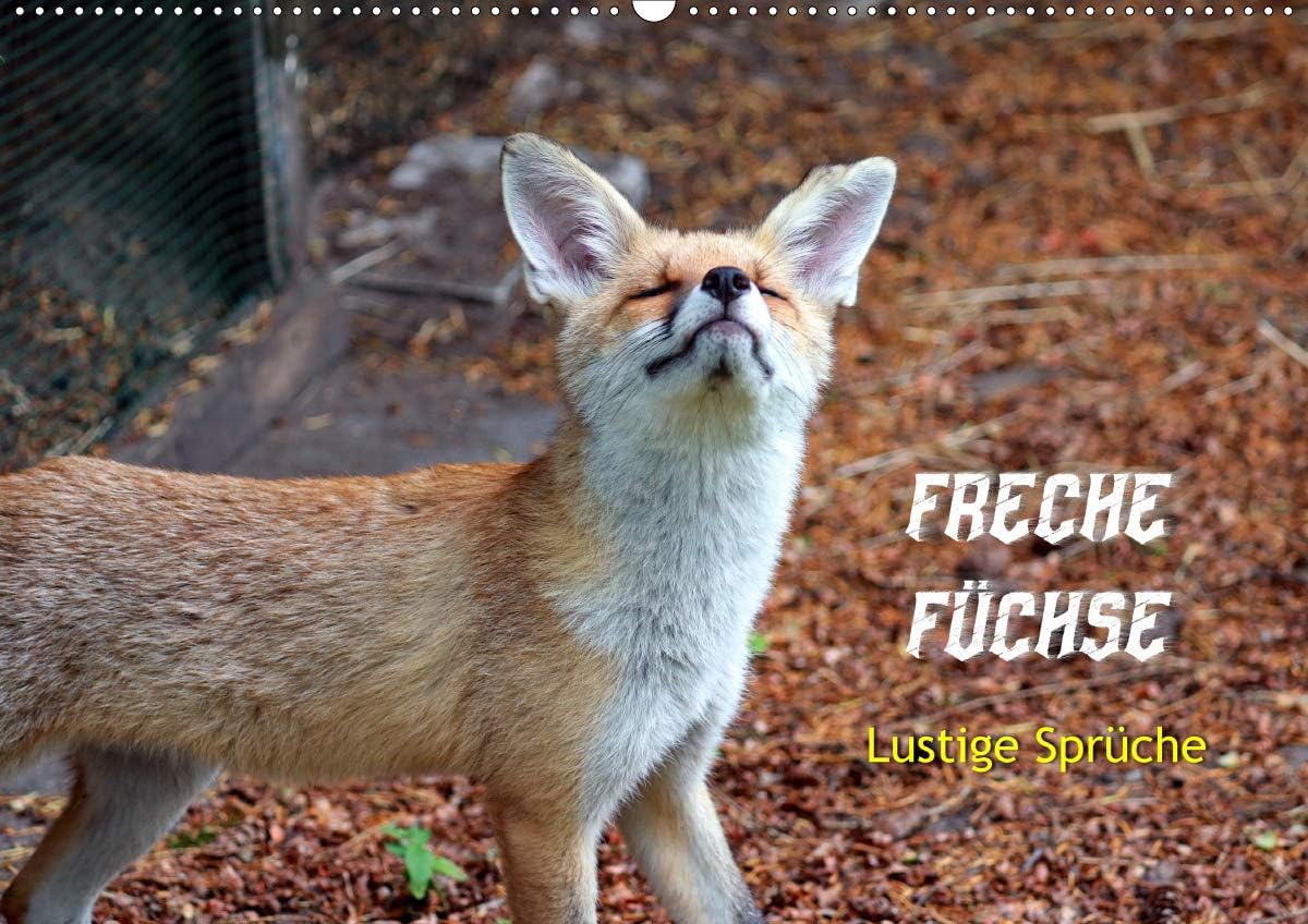 Freche Füchse - lustige Sprüche Wandkalender 2021 DIN A2 quer: Amazon ...