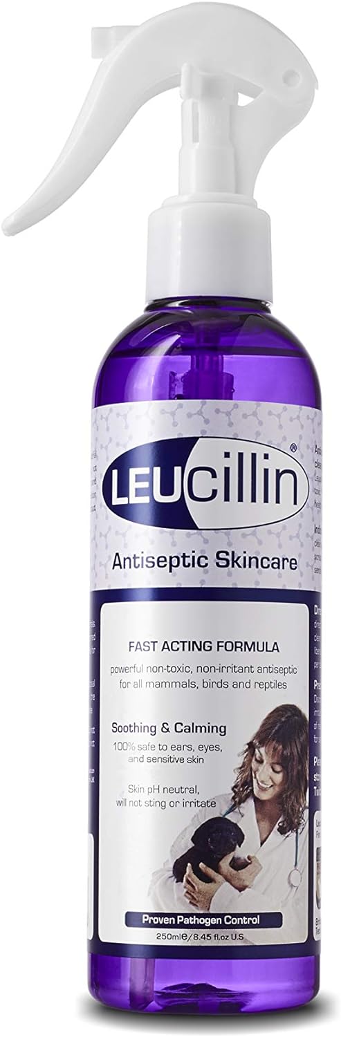 Leucillin Natural Antiseptic Spray | Antibacterial, Antifungal ...