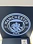 Beautiful Game Manchester City Football Club Official One Colour Crest ...