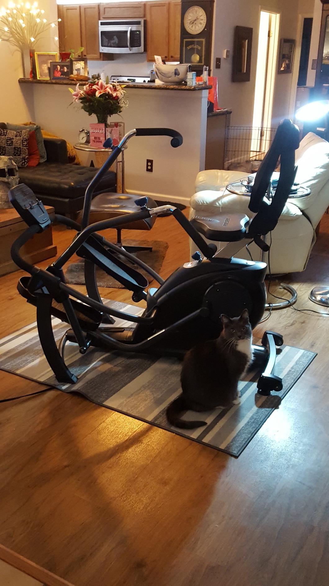 $79/mo - Finance Teeter FreeStep Recumbent Cross Trainer and Elliptical ...