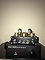 Amazon.com: Douk Audio P1 Vacuum Tube Bluetooth Preamplifier, GE5654 Audio Preamp, Hi-Fi ...