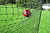 Net World Sports Cricket Backstop Nets - Huge Range (10ft x 100ft) in ...