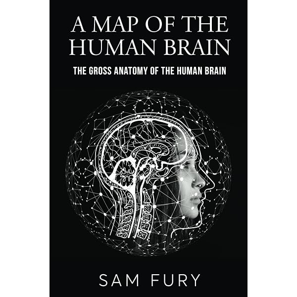 The Brain Atlas A Visual Guide To The Human Central