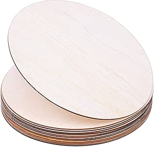 Amazon.com: Wood Circles for Crafts, Audab 12 Pack 12 Inch Unfinished ...