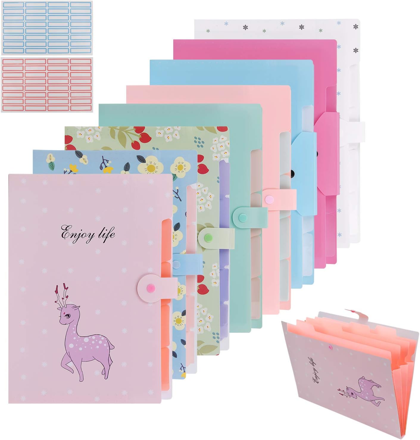 MerryNine 8PCS Expanding File Folder, A4 Letter Size Accordion Document ...