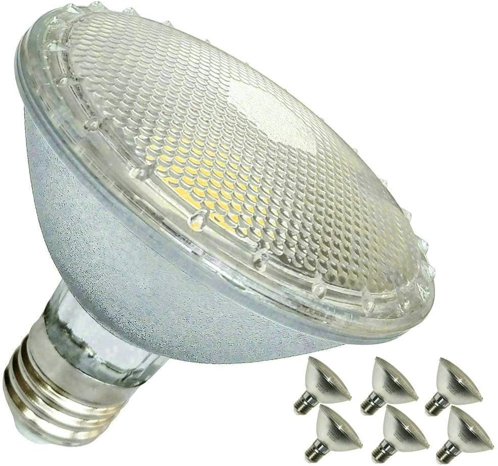 Amazon.com: Short Neck PAR30 LED Bulb,Warm White,Full Glass,Indoor ...
