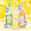 Zero Calorie Swoon Cocktail Mixer Variety Pack by Swoon - Low Carb ...