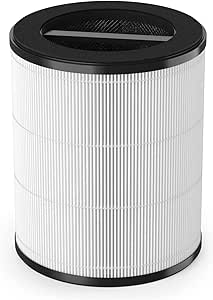Amazon.com: CFKREYA HEPA Filter Replacement,Compatible with Oransi Mod ...