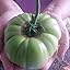 TOMATO - GIGANTOMO F1 - 12 FINEST SEEDS - WORLDS LARGEST BEEFSTEAK ...