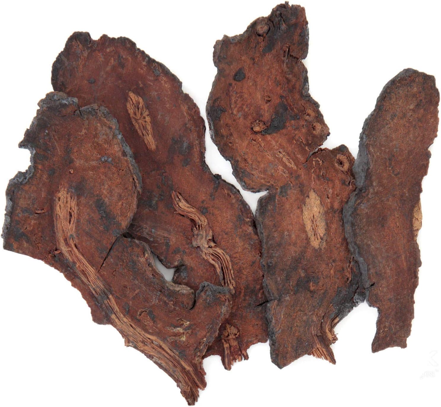 KOS Organic Fo-Ti Powder - Immunity Strengthening Fo-Ti Root (He Shou ...