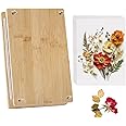 Amazon.com: JINGHANGER Large Flower Press Kit 11.8 x 7.9 Inches DIY ...