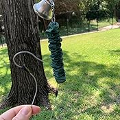Amazon.com : Songbird Essentials SQUD Squngee Bungee Cord, Green ...