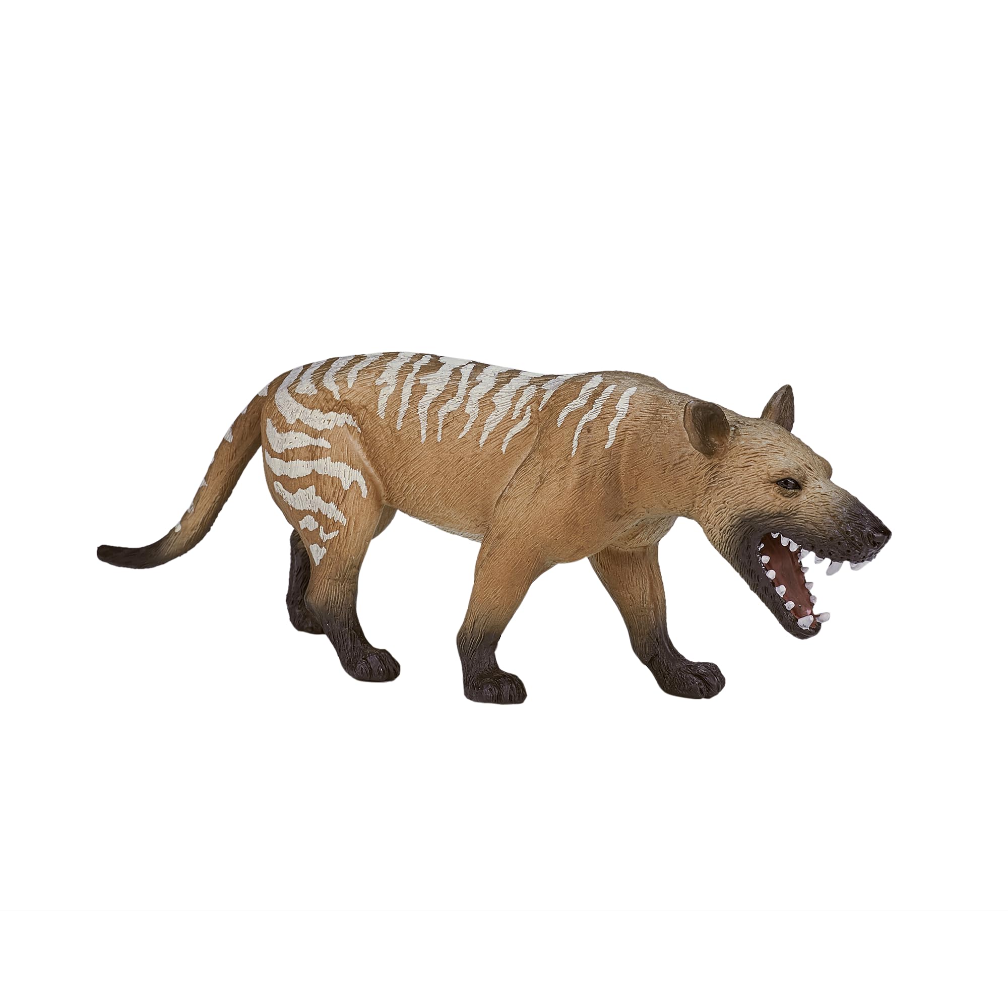 MOJO Hyaenodon Gigas Realistic Prehistoric Extinct Animal Collection ...