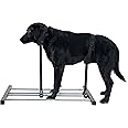 Amazon.com : HQSLC Dog Breeding Stand,Stainless Steel Dog Grooming ...