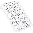 iClever KP08 Wireless Numeric Keypad, 22 Keys Bluetooth Number Pad Portable Number Keyboard, USB ...