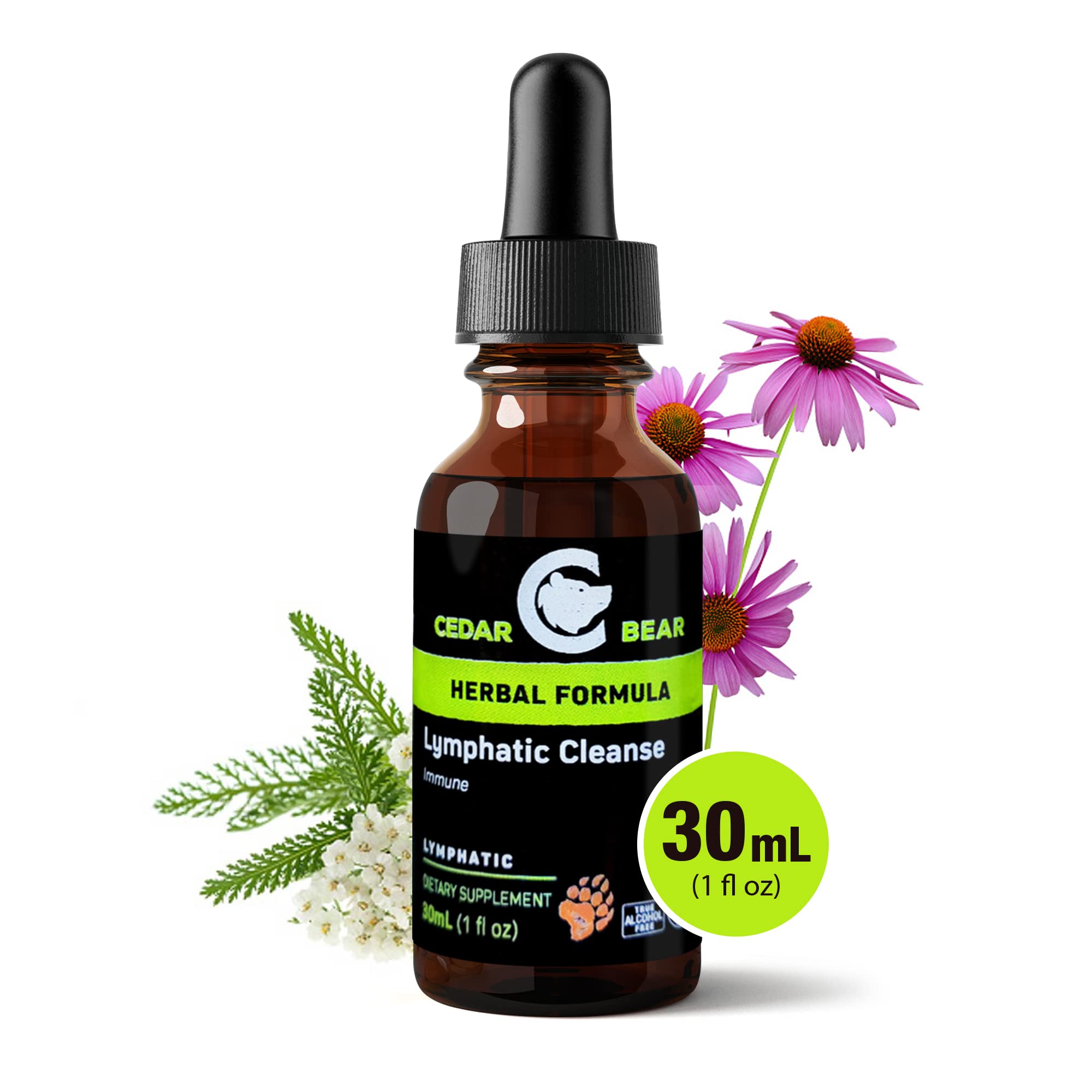 Mua Cedar Bear - Lymphatic Cleanse Immune Support Supplement, Alcohol ...