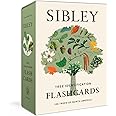 Sibley Tree Identification Flashcards: 100 Trees of North America ...
