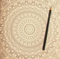 Mandala Meditation Coloring Book (Serene Coloring): Inc. Sterling ...