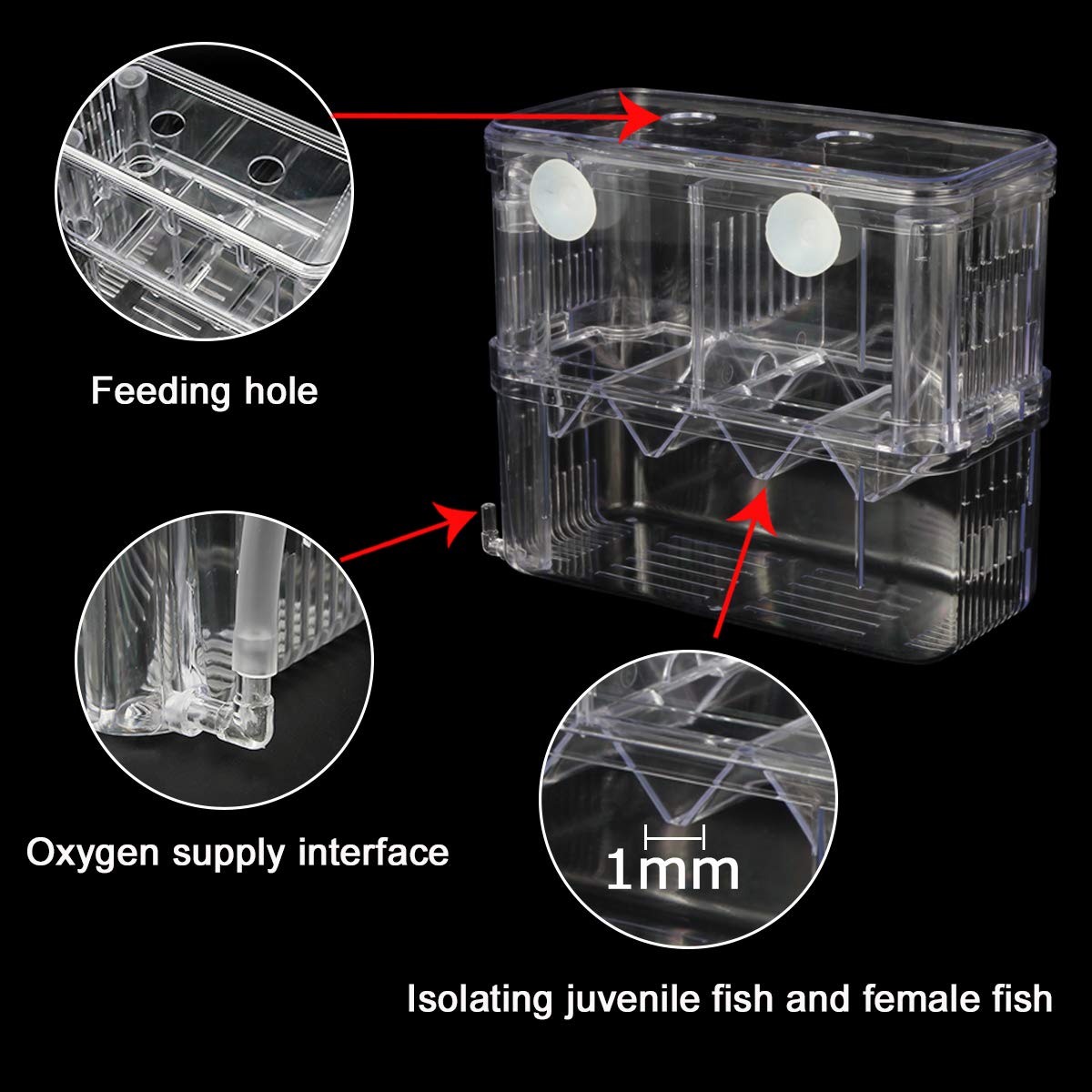 Mua Senzeal Aquarium Fish Breeder Box Plastic Fish Isolation Breeding ...