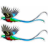 Amazon.com - Quetzal Decal Vinyl Bumper Sticker 5"