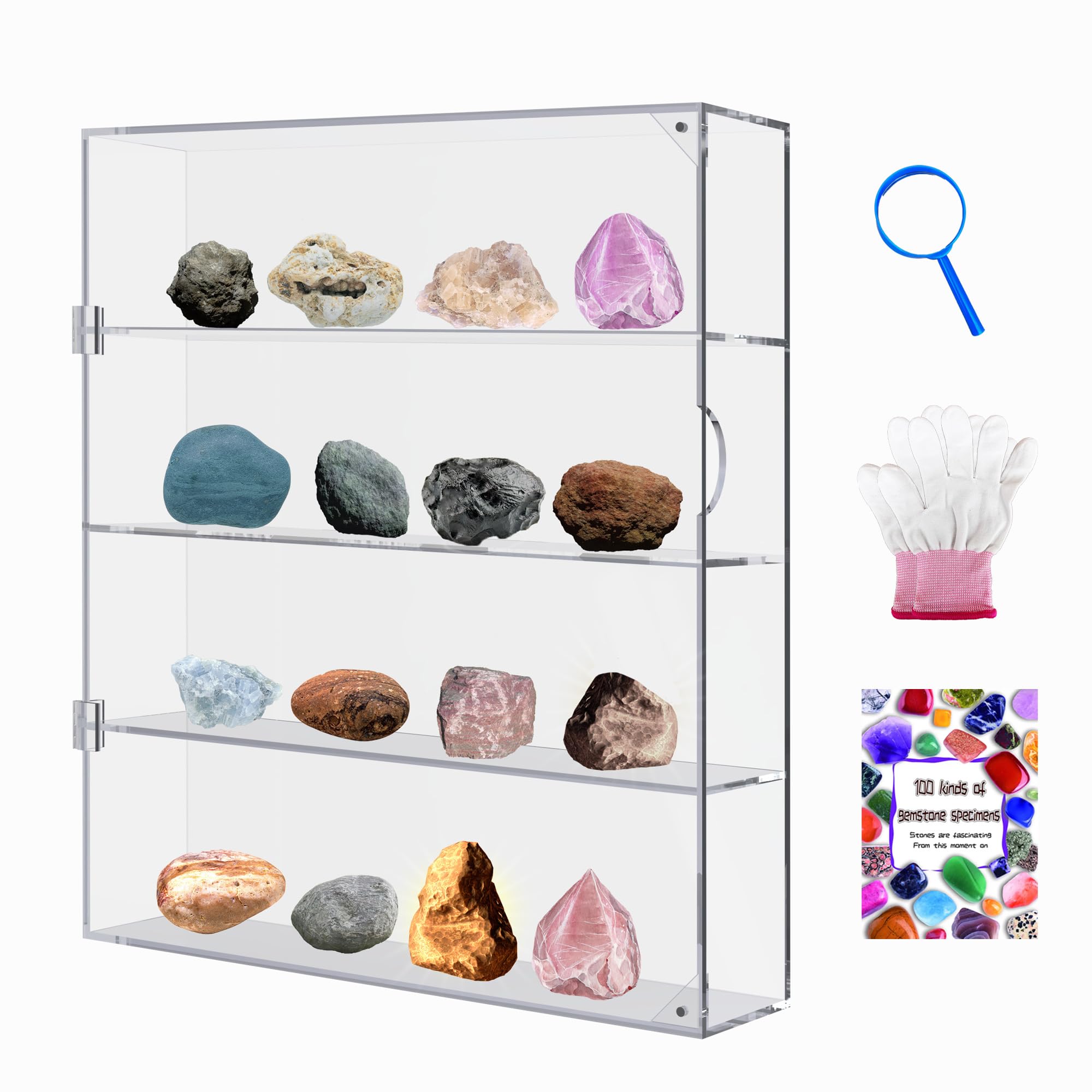 HEMYLU Rock Collection Display Case, Crystal Acrylic Storage Box with 4 ...