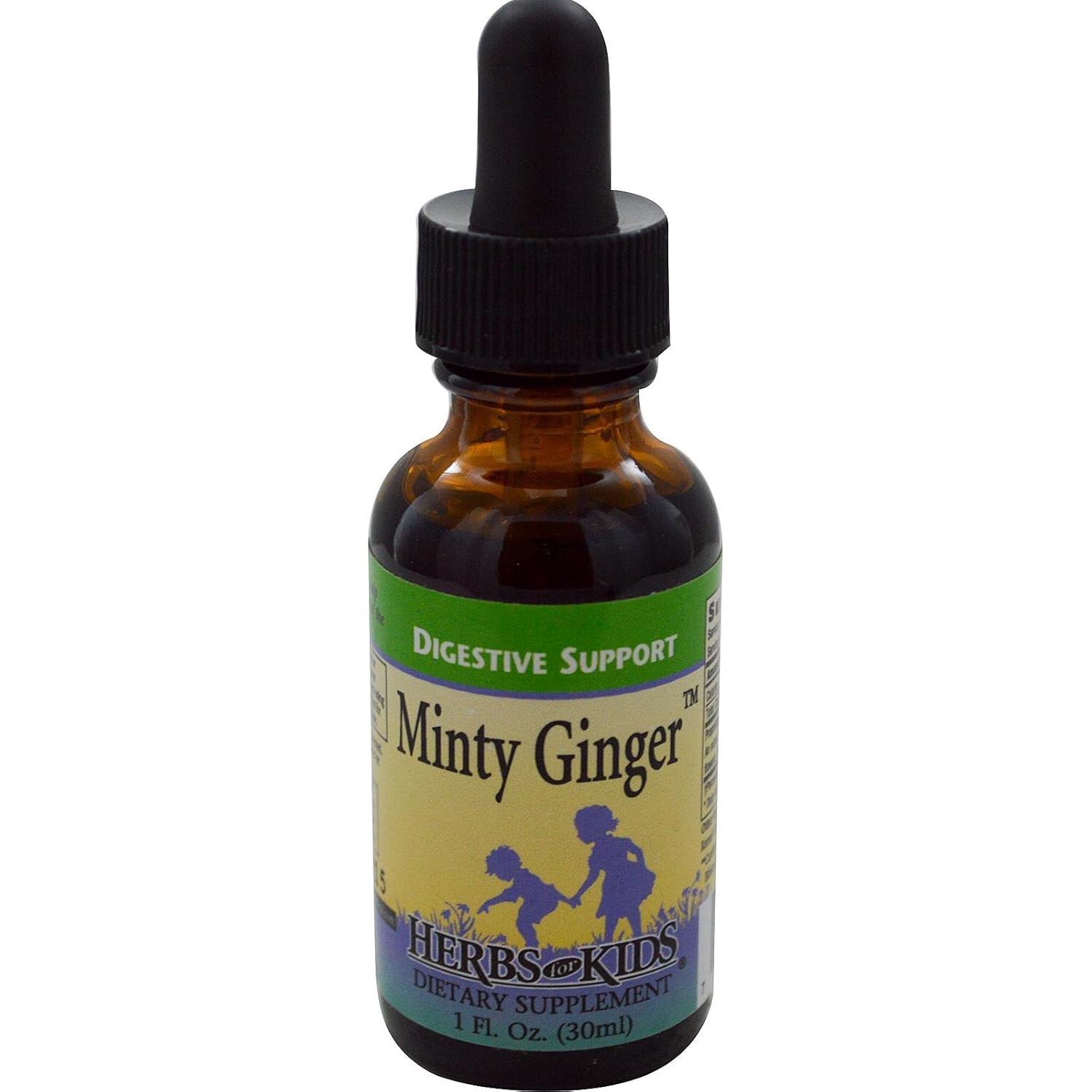 Minty Ginger 1 OZ, Pack of 2 - DailyNutriPlus LLC