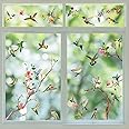 Amazon.com: Yovkky Spring Summer Hummingbirds Tree Branches Window Clings 9 Sheets, Prevent Bird ...