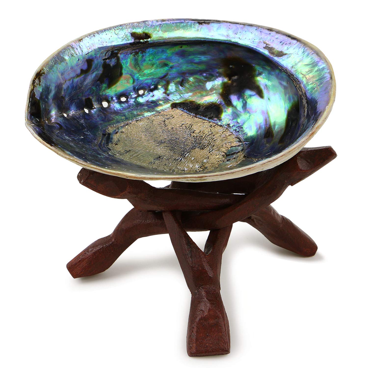 Ocean Shell Studios. shop Kuwait | Buy Ocean Shell Studios. products ...