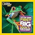 National Geographic Little Kids First Big Book of the Rain Forest ...