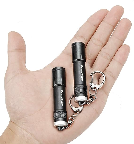 EverBrite 2 Pack Keychain LED Flashlight Mini Bright Keyring Portable ...