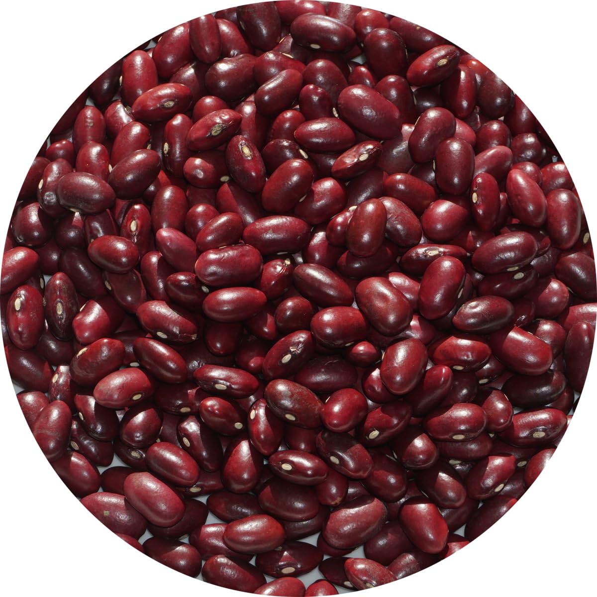 Mua Hokkaido Taisho Kintoki Beans, Quail Beans, Ingen-beans, Ingen ...