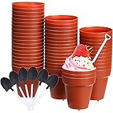 Amazon.com | Kichvoe Flower Pot Cupcake Flowerpot Cake Desserts Cups 20 ...