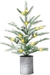 Amazon.com: Small Christmas Tree 24 inch Mini Christmas Tree Rustic ...