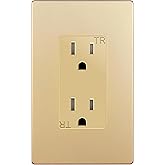 LIDER Decorator Receptacle with Interchangeable Face Cover, Residential ...