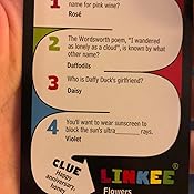 Amazon.com: Bananagrams LINKEE: Four Little Questions.One Big Link: U.S ...