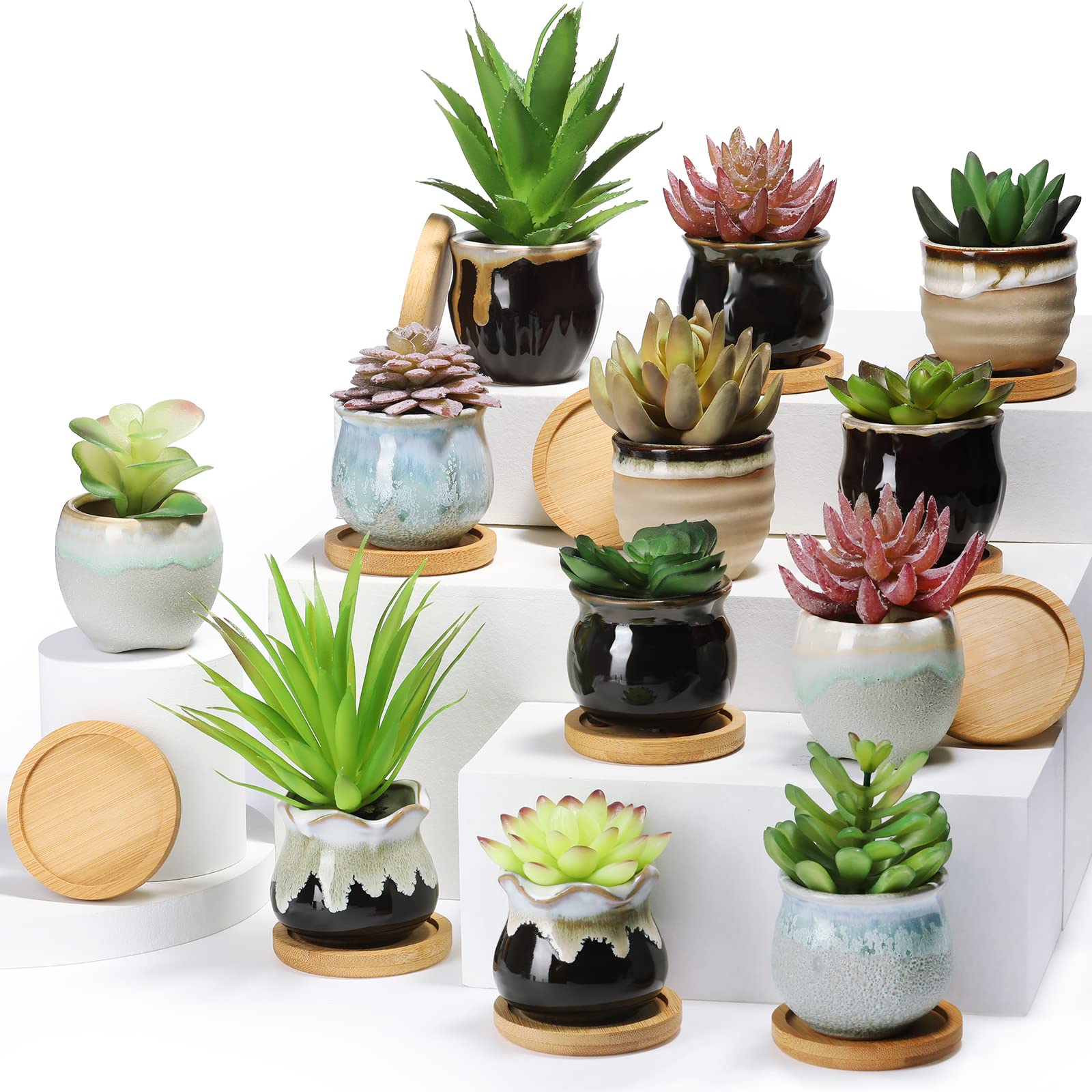 Remerry 24 Pcs Small Succulent Pots Bulk with Drainage Assorted 2.5 ...